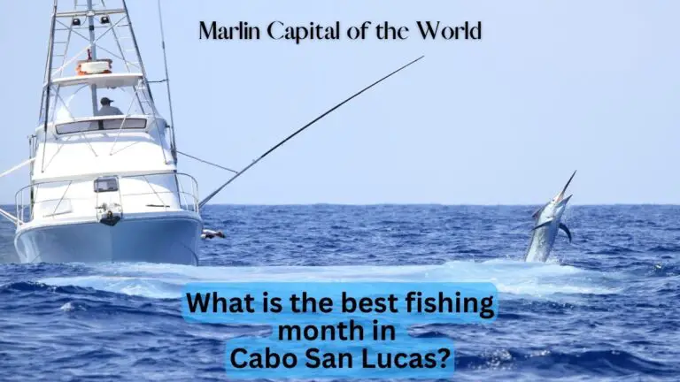 What Is the Best Fishing Month in Cabo San Lucas? | InfoVacay